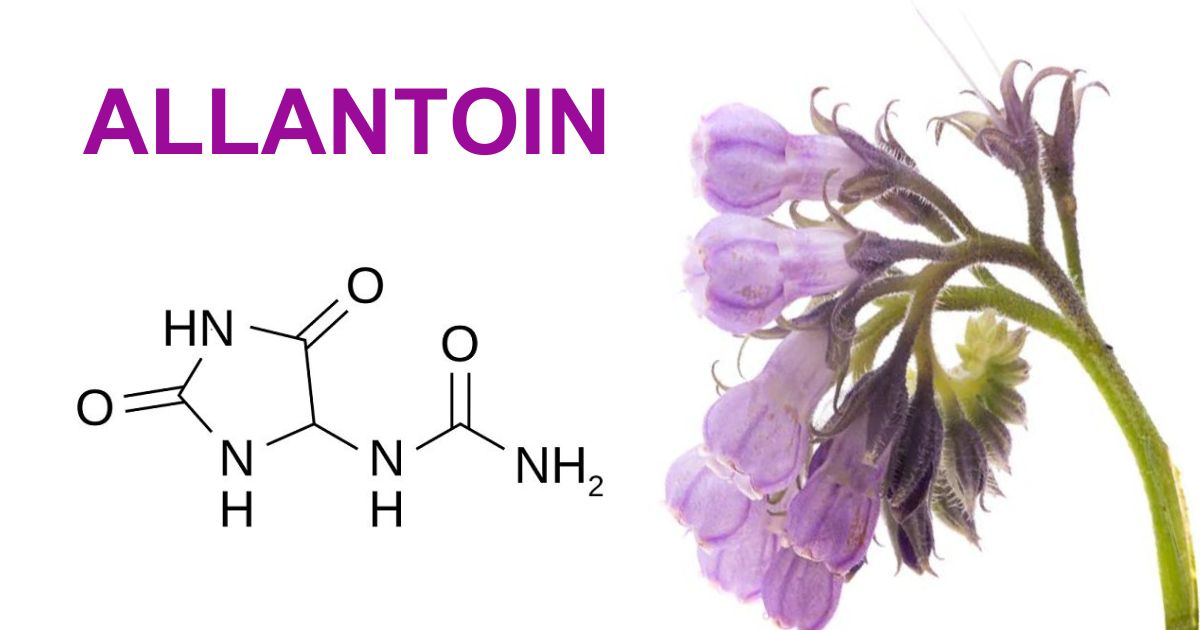 Allantoin là gì mà được xem là “cứu tinh” của làn da?